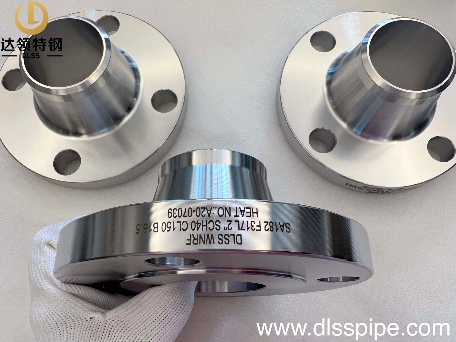 ASME SA182 F317L Forged Flange for Chemical Plant Project - DALING ...
